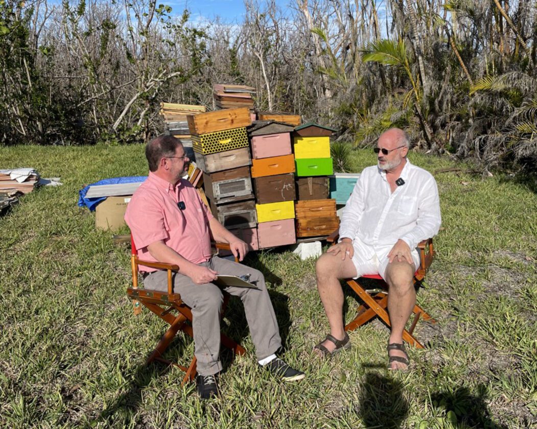 Hurricane Ian hammers bee population | News, Sports, Jobs - Lehigh ...